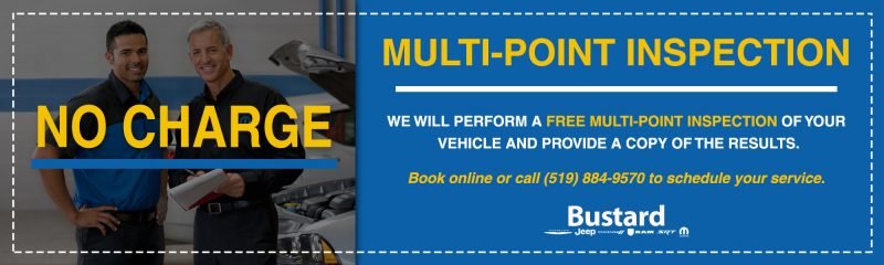 Bustard's Visual Multi-Point Inspection