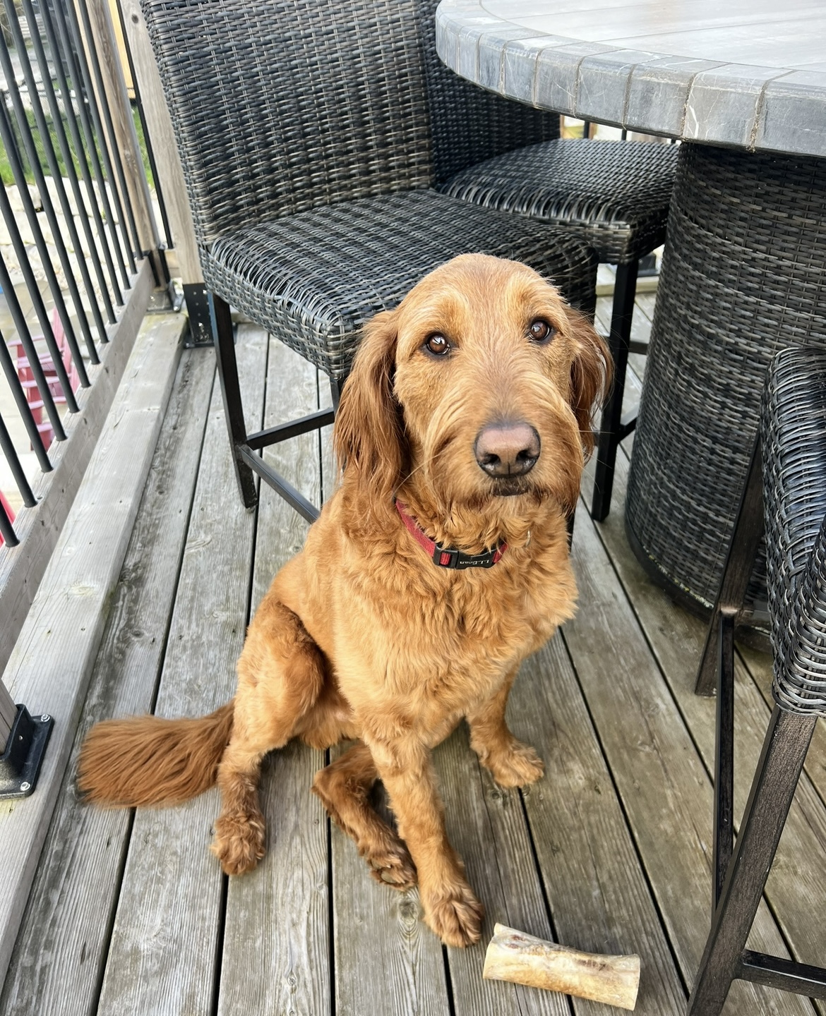 Leo - Vance Motors Dodge Chrysler Jeep Ram